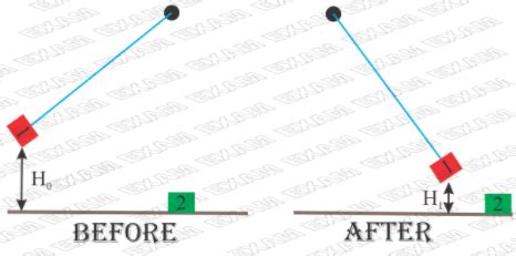 Solved Block M Kg Is Held At Rest At The End Of A Chegg Com