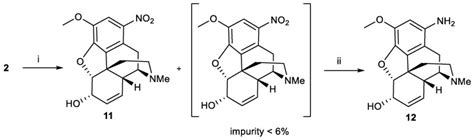 Synthesis And Modification Of Morphine And Codeine Leading To Diverse Libraries With Improved
