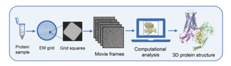 Structure Based Drug Discovery Design Flashcards Quizlet