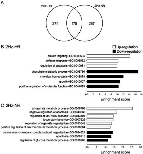 Overlapped And Non Overlapped Gene Expression And Enriched Go