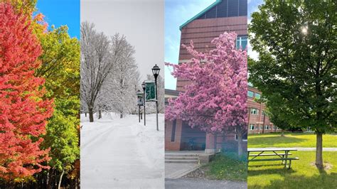 Nature Throughout The Seasons Nature Rx