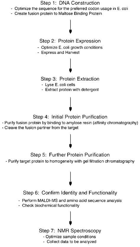 Protein Expression And Purification Steps At Janie Davis Blog