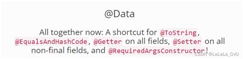 Lombok Data 包含的注解data有lombook哪些注解组成 Csdn博客