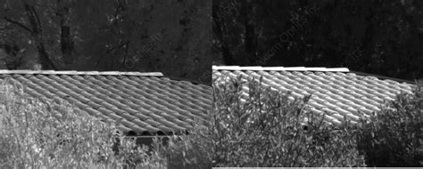 Goldeye Xswir Vga Qvga Extended Swir Ingaas Cameras