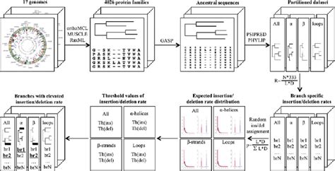 —genome Wide Indel Analysis Pipeline Download Scientific Diagram