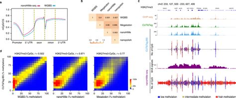 Nanohime Seq For Cpg Methylation Measurements A Cpg Methylation Density Download Scientific