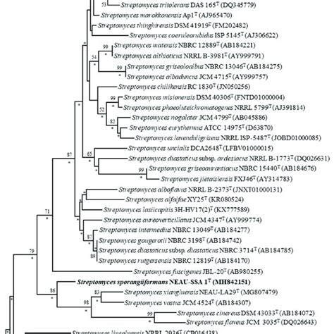 Neighbor Joining Tree Based On Mlsa Analysis Of The Concatenated