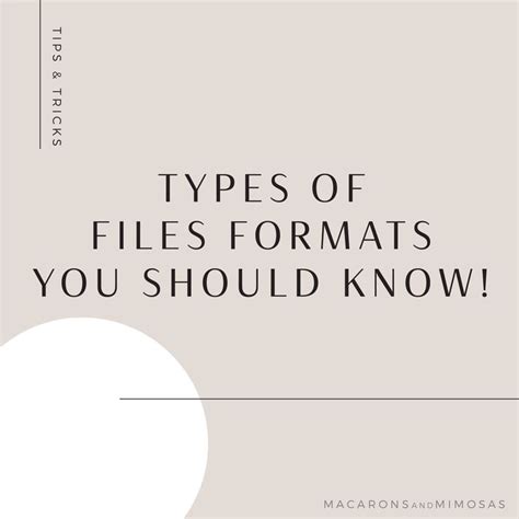 Different Types Of Graphic File Formats And Extensions Banner Ads Format Custom Branding