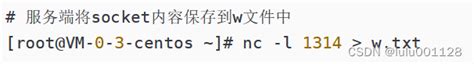 每周练习and学习(一)11 Nc的使用与系统命令执行ctf Nc Csdn博客 每周练习and学习(一)11 Nc的使用与系统命令执行ctf Nc Csdn博客