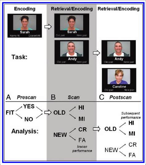 Task Design And Analysis The Experimental Task Involved Three Download Scientific Diagram
