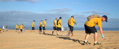 Clean Up Your Act How To Clean Up Pcr Contamination