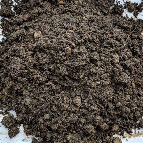 Premium Garden Mix for Home Garden| WMG Garden Supply