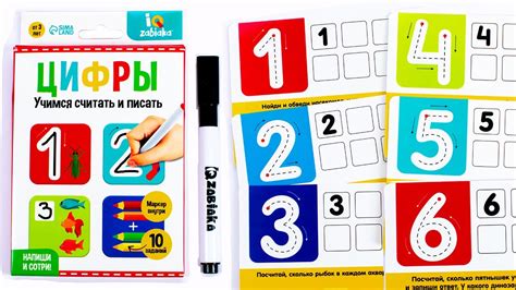 Развивающие Задания для Малышей Учим Цифры Youtube