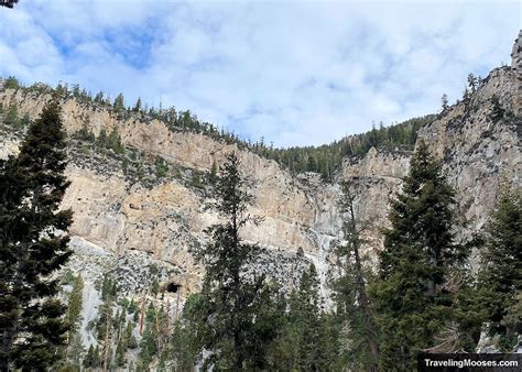 Mary Jane Falls Trail Mount Charleston Nv Traveling Mooses