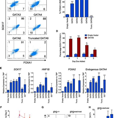 Rescue Of Definitive Endoderm Differentiation A A Schematic Of The Download Scientific