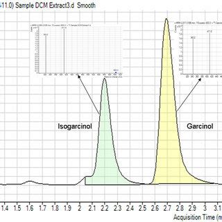 LC MS MS Chromatogram Of G Indica DCMMeOH Extract And MRM Spectra Of Download Scientific