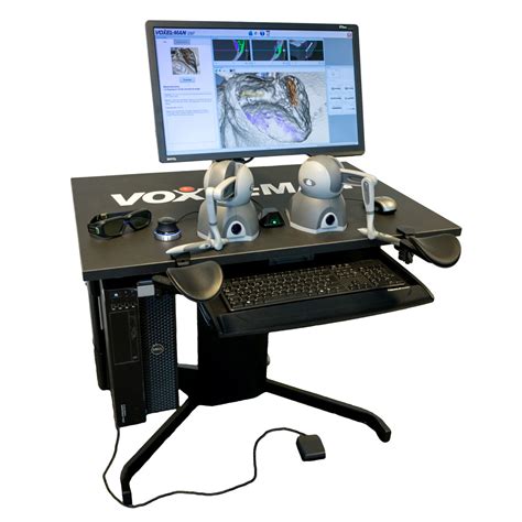 Voxel Man Tempo Virtual Ear Surgery Simulator