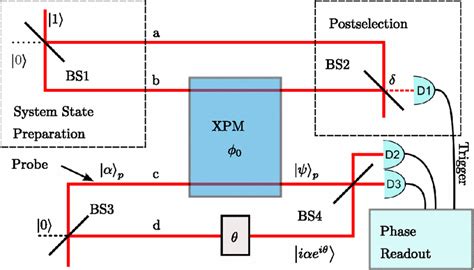 The Single Photon System Is Prepared In An Equal Superposition Of Arms