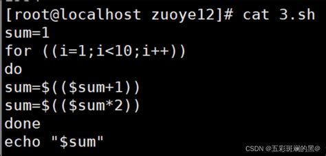 shell之循环语句 —— for 实验 csdn博客