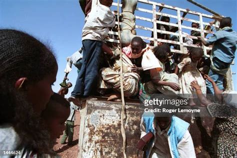 Adi Quala Photos And Premium High Res Pictures Getty Images