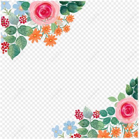 수채화 식물 꽃 일러스트 테두리 장미 기념일 식물의 Png 일러스트 무료 다운로드 Lovepik
