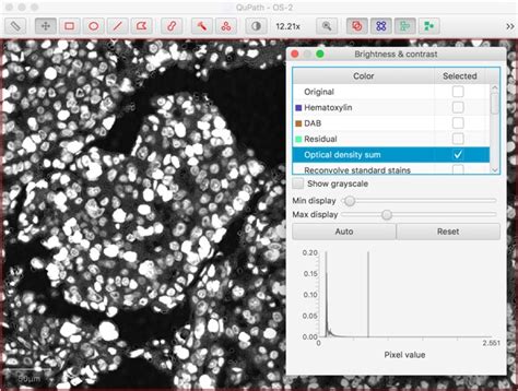 Changing Colors Qupath Qupath Wiki GitHub