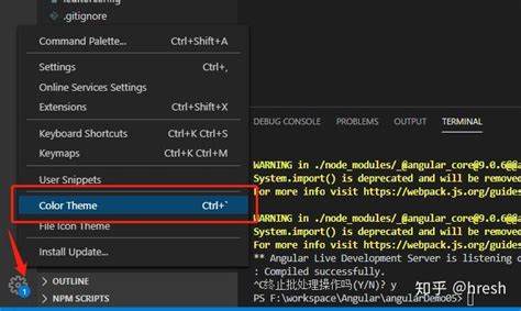 使用VScode开发Angular 知乎