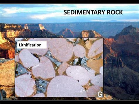 Ppt The Rock Cycle Powerpoint Presentation Free Download Id2528767