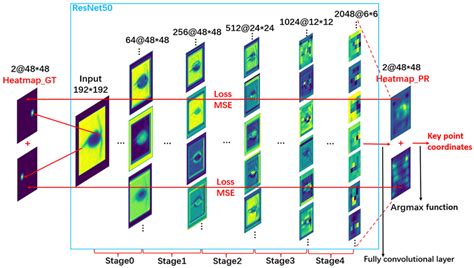 Description Of The Key Point Detection Model Training Process This