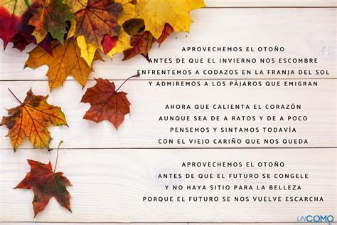 Poema Xx De Neruda Un Canto A La Pasión Y El Amor Desmedido Poemas Blog