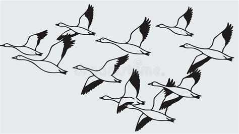 Flock Of Birds In Flight Graceful Avian Migration Natural Movement