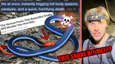 Coral Snake Bite