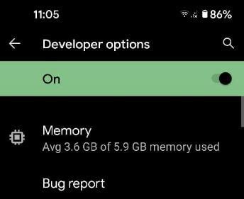 How To Enable Developer Options In Pixel