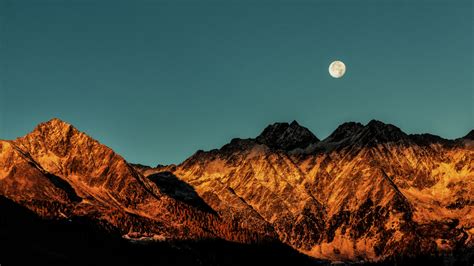 Factual Description Class 8 Format And Examples