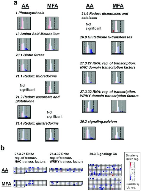 Selected Functional Gene Categories Bins Generated By Mapman Download Scientific Diagram