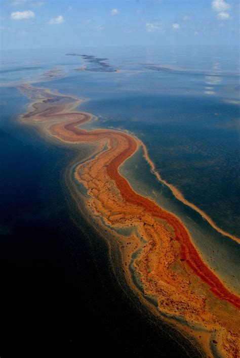 Cleaning Up Oil Spills With Hair Via Science Everyday Nbc 101