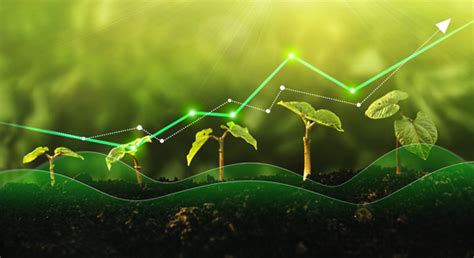 Cbi To Launch Corporate Transition Plan Assessment Database