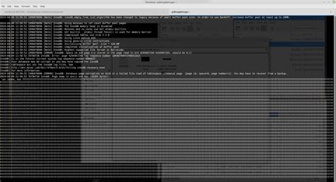 Corruption Mariadb Corrupted After Attempting Full Backup With Mariabackup Database