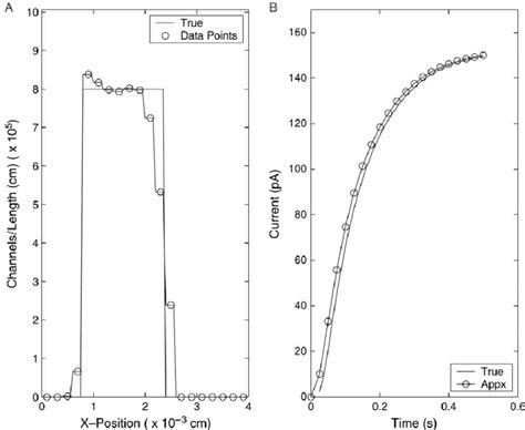 Graphical results for Example A True and approximate ρ functions Download Scientific
