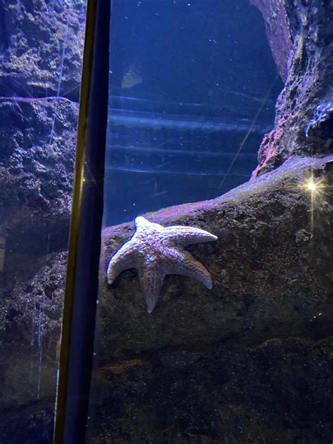 Detection 1 Object Detection Dataset By Myworkspace03052003