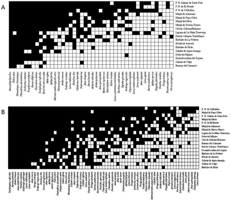 Overall Nestedness Of The Waterbird Metacommunity Graphical Download Scientific Diagram