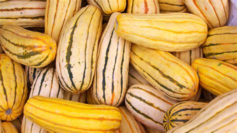 Striped Zucchini Squash