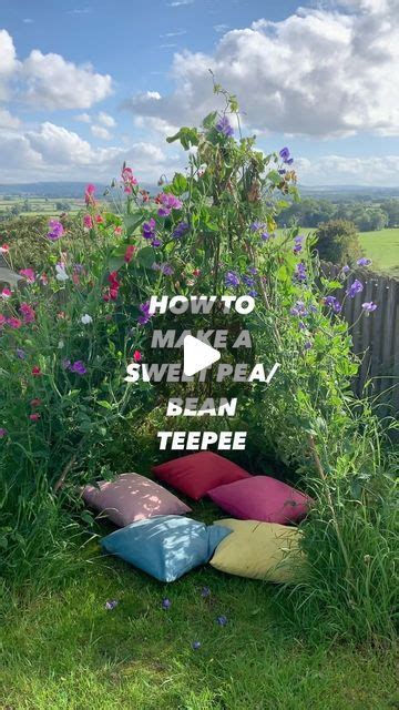 How To Make A Sweet Peabean Teepee For Your Garden