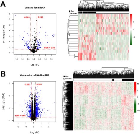 volcano plot and bidirectional hierarchical clustering heatmap a left