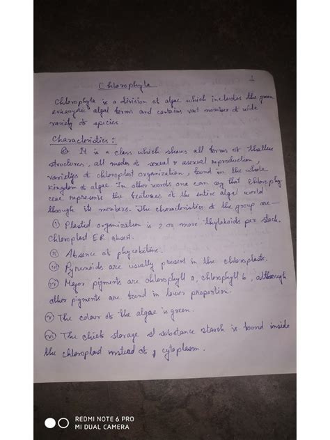 Chlorophyta And Charophyta Pdf