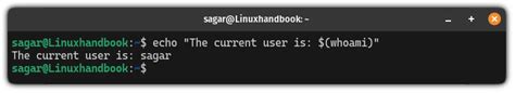 Command Substitution Use Output As Variable In Bash