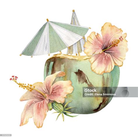 손으로 그린 수채화 구성 종이 우산 히비스커스 꽃과 코코넛 칵테일 흰색 배경에 격리 디자인 벽 예술 결혼식 인쇄 직물 표지 카드