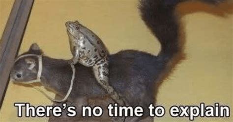 Hop On Theres No Time To Explain Crappy Taxidermy Know Your Meme