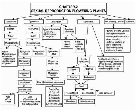 Human Reproduction Short Notes Class 12 Aesthetic Biology Study Notes