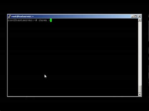 Free Video Unix File Permissions And Ownership Chown Chmod Etc